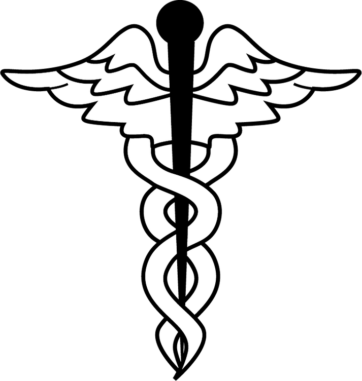 Caduceus Insert – SSR Jackets Patch Store